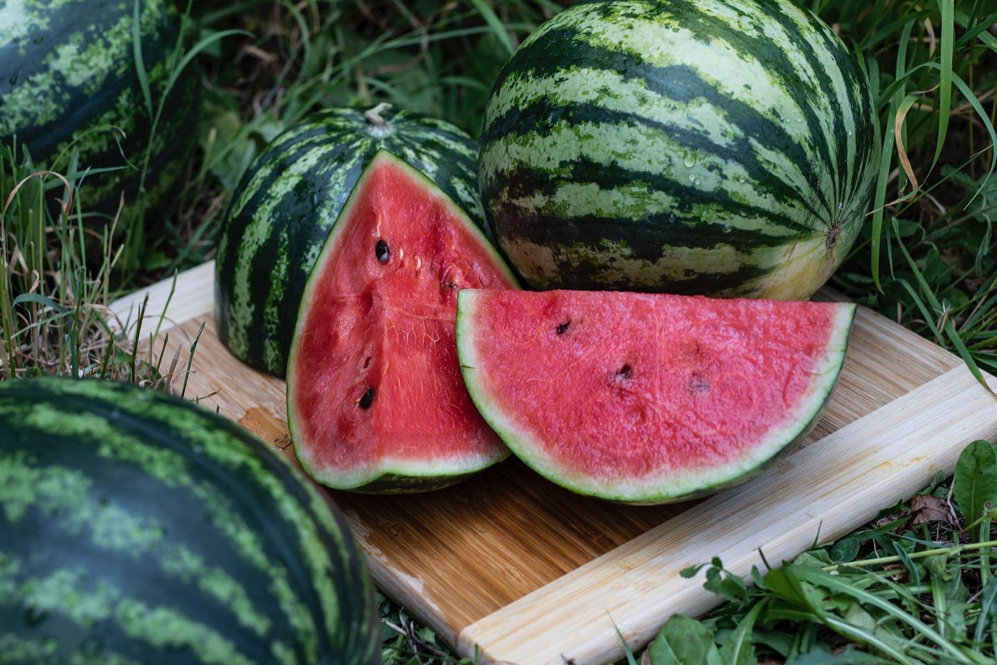 MINI LUBENICE - Ljubim Domače